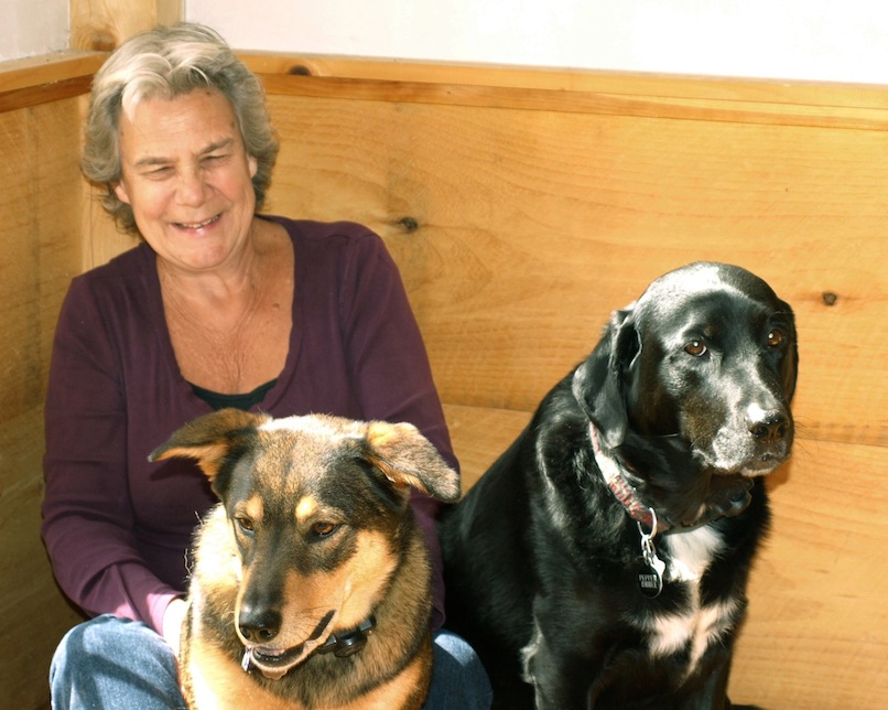 Interview with Anna Dibble, Artist | biscuit's space | The blog of ...