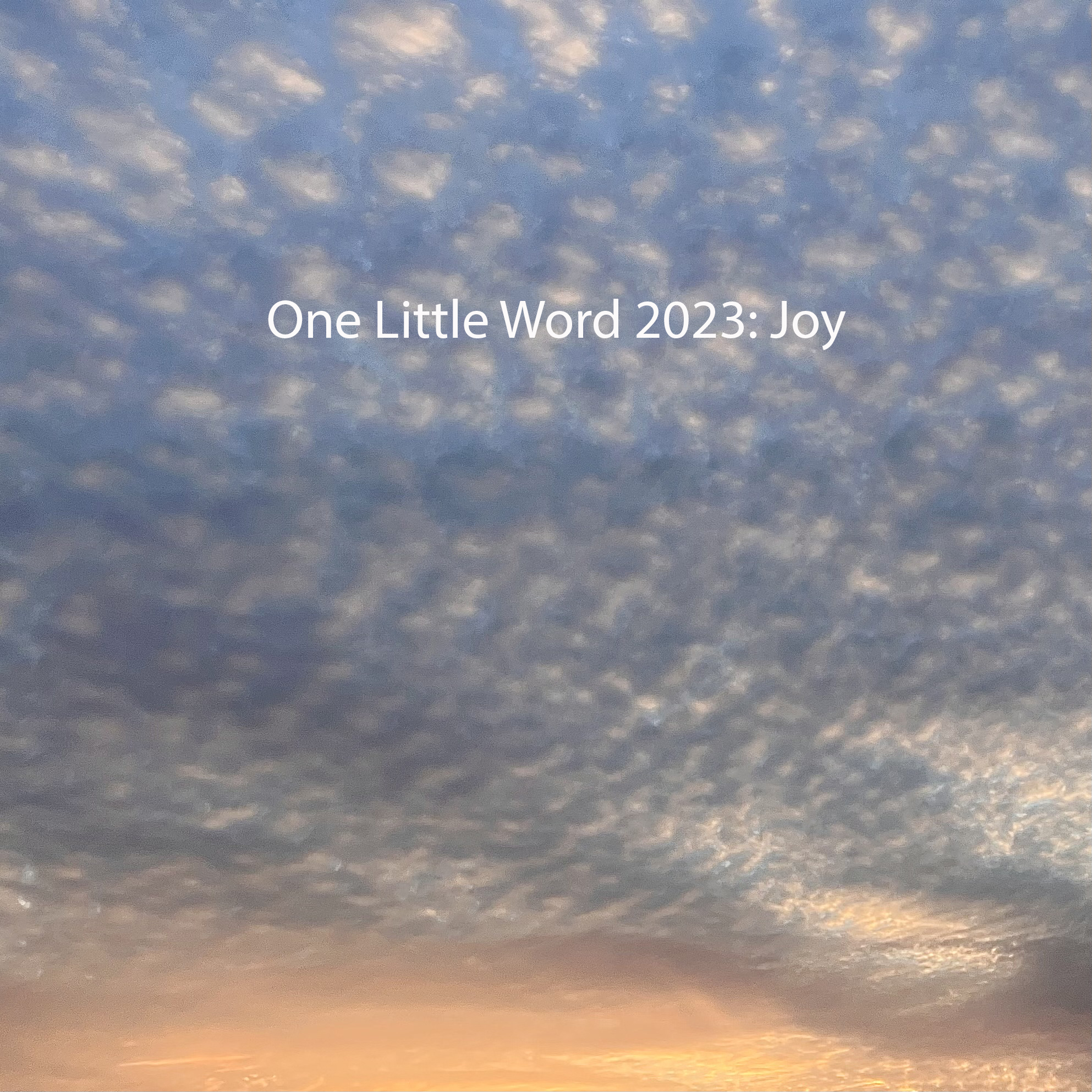 One Little Word 2023: Joy | biscuit's space | The blog of photographer ...