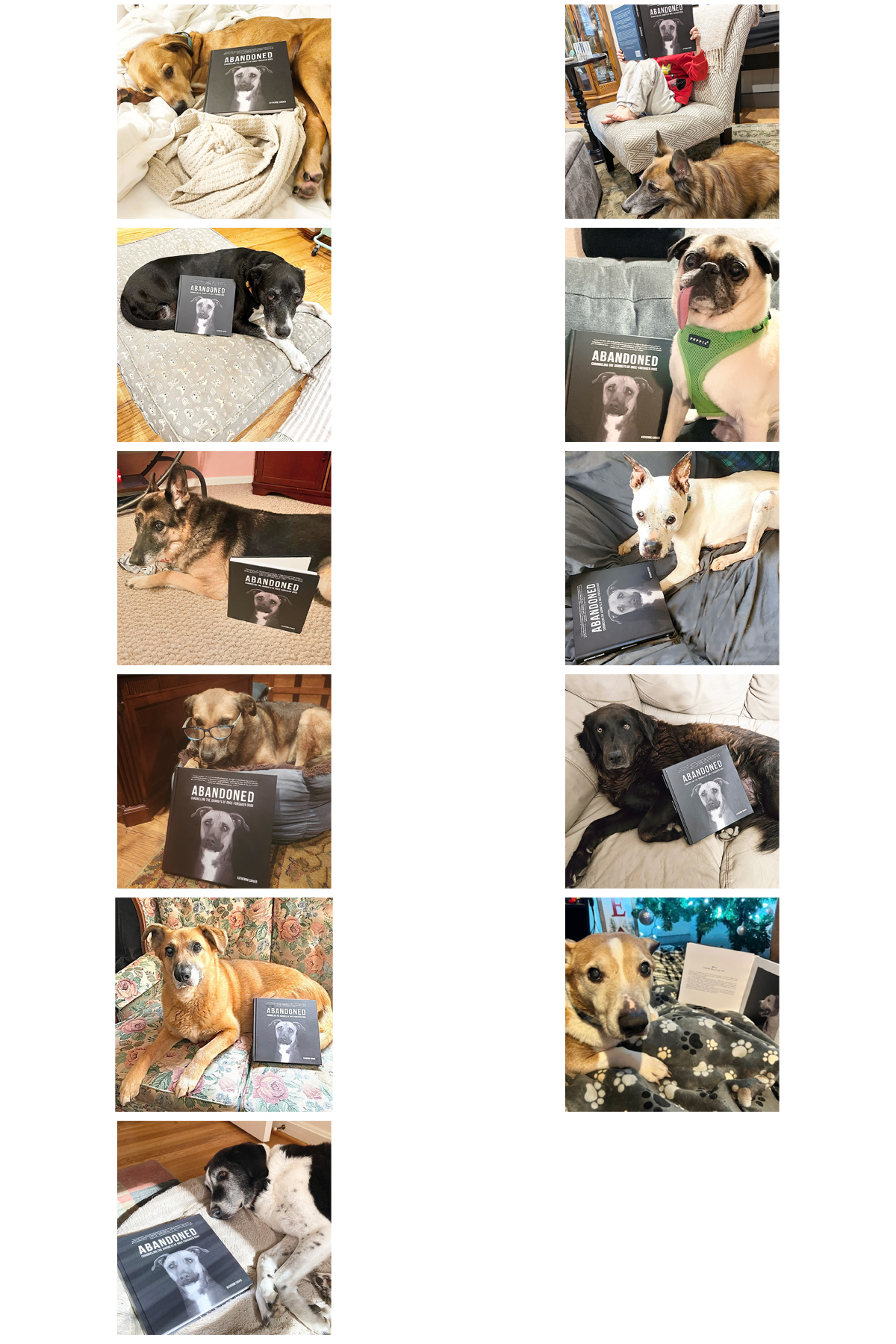 ABANDONED: Featured Dogs in ABANDONED With Their Books | biscuit's ...