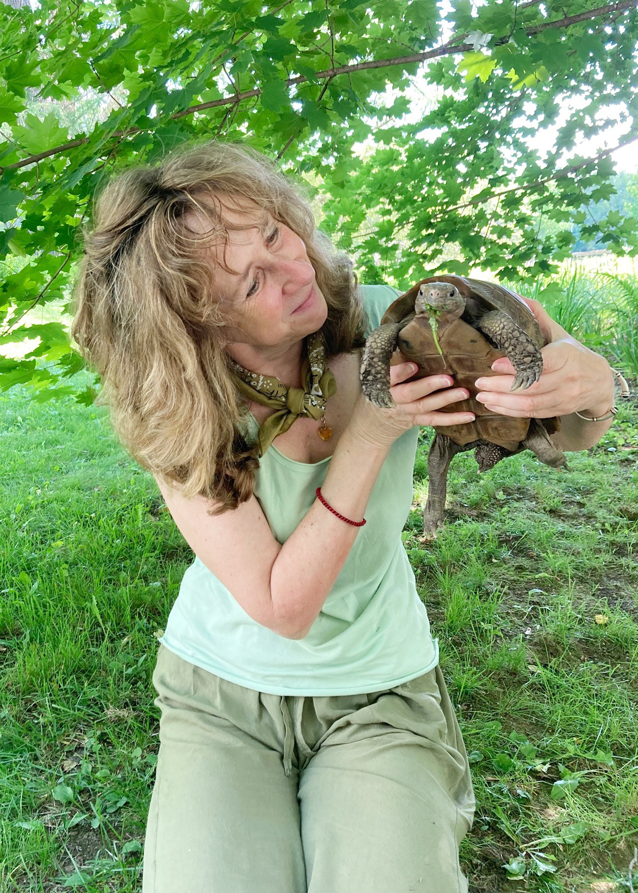 Interview: Sy Montgomery, Acclaimed Writer | biscuit's space | The blog ...